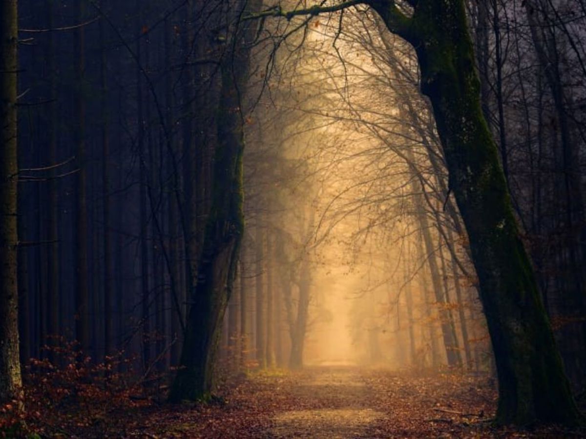 The best spooky destinations for a Halloween holiday