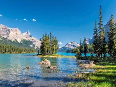 How to reduce carbon emissions when you travel